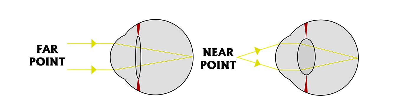 ऐ तुम्हें पता है, तुम्हारी आंख तुम्हें उल्टा दिखा रही है - The Lallantop