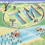 Basmati gets steaming again - India Today