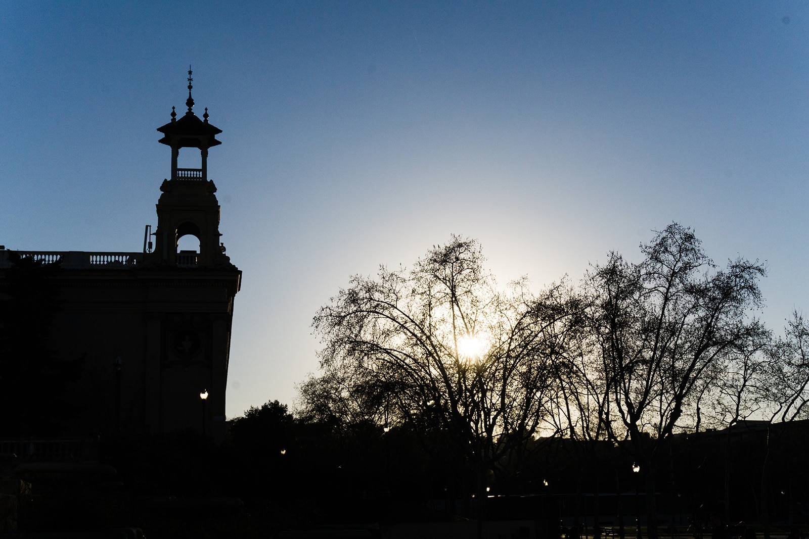 Using Sony A6000: Can mirrorless cam make you dump bulky DSLR? - India ...