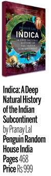 Pranay Lal's Indica Earth is the story of our planet's eventful past ...