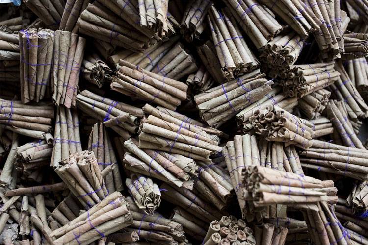 In this Indian city, knowing how to roll a 'bidi' makes a woman an ...