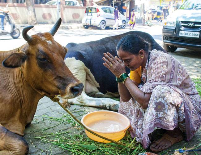 When Food Is a Weapon