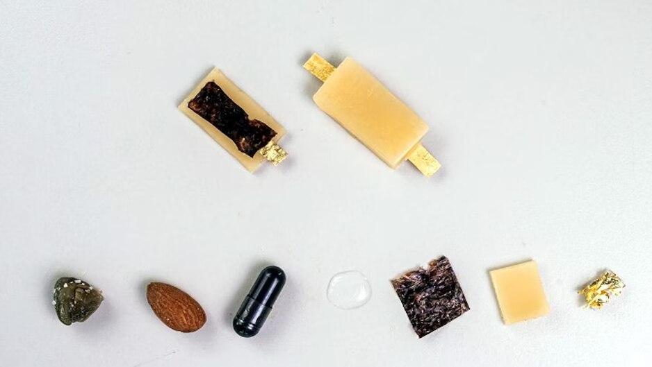 डिस्चार्ज होने के बाद खाने वाली बैटरी! साइंस का नया कमाल - Edible ...