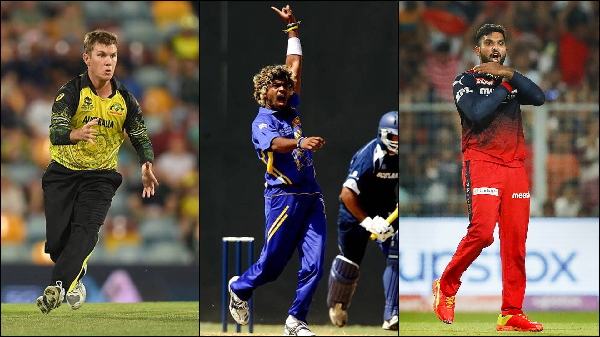 Who has the best bowling average in IPL history? Not a single Indian in ...