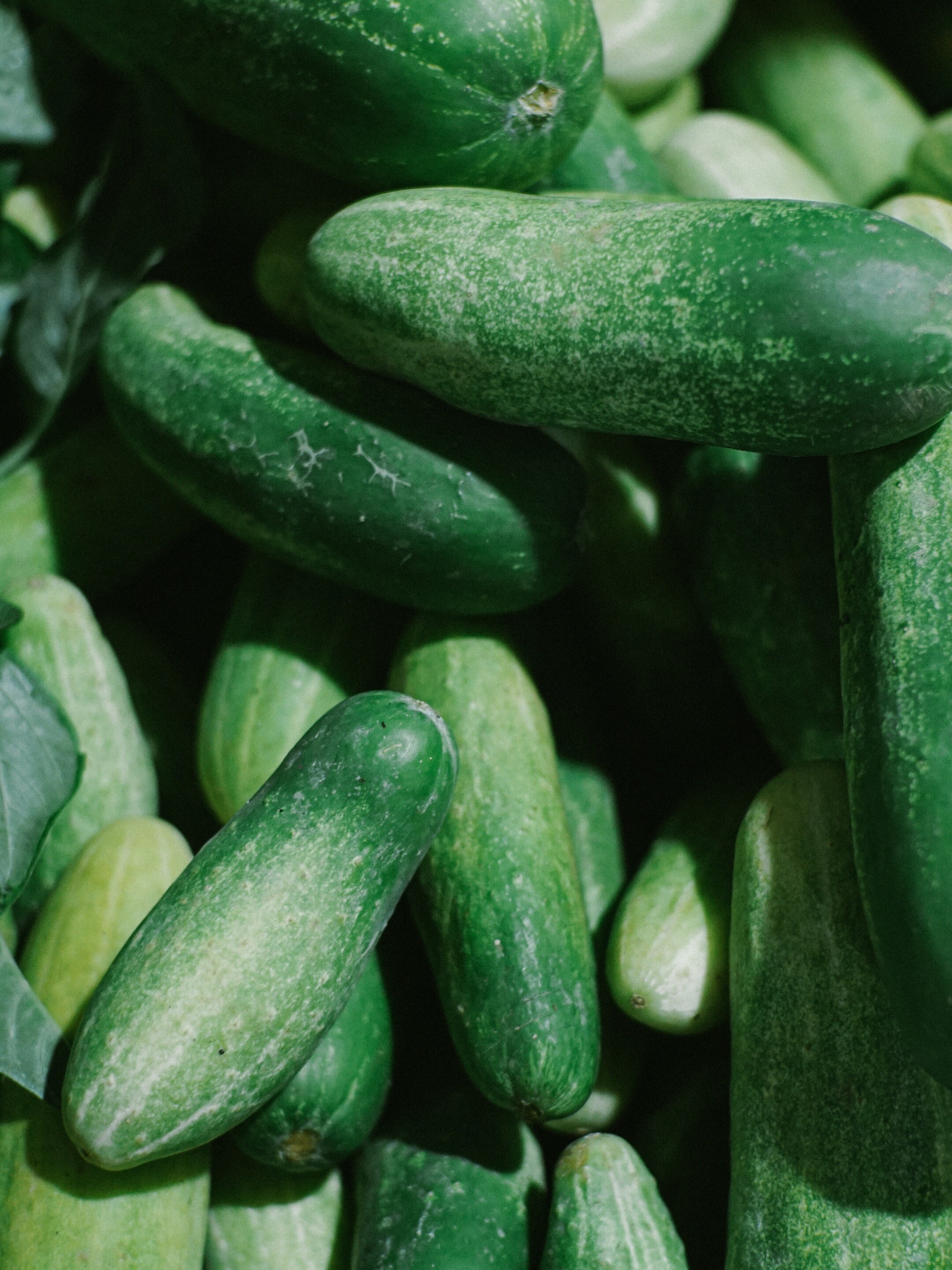Cucumber Eating Benefits sus