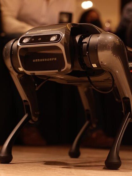 Xiaomi CyberDog First Look