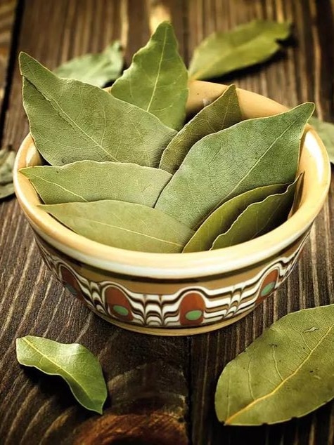 झटपट जानें तेजपत्ता की खेती के टिप्स - Bay leaf farming use of bay leaf
