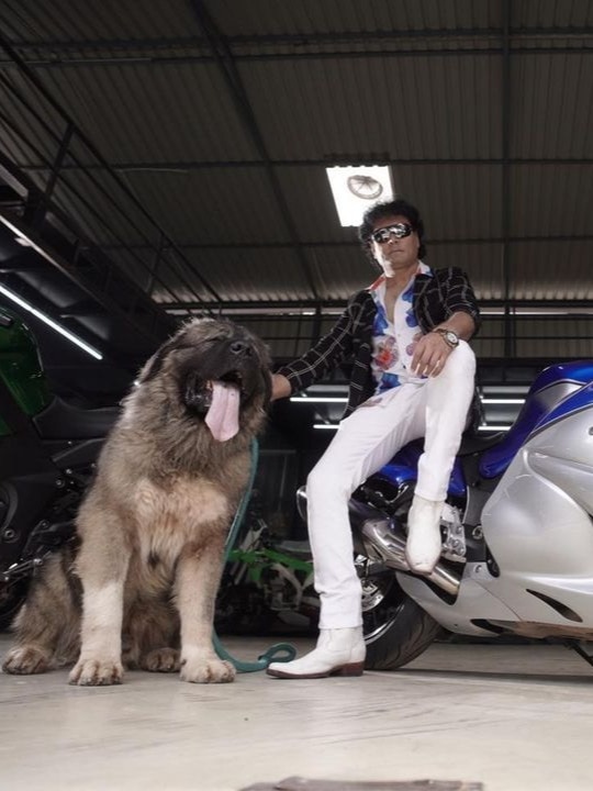 बेंगलुरु के शख्स के पास 20 करोड़ का कुत्ता! जानें खासियत - Dog breeder ...