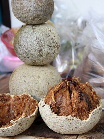 कैथा है खेती के लिए बेस्ट ऑप्शन! - How to do kaitha farming