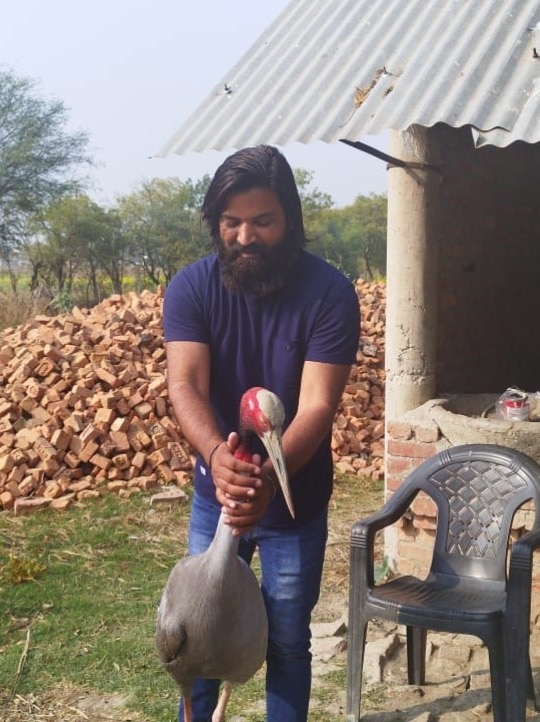 सारस और इंसान की दोस्ती बनी मिसाल - Friendship of stork and man