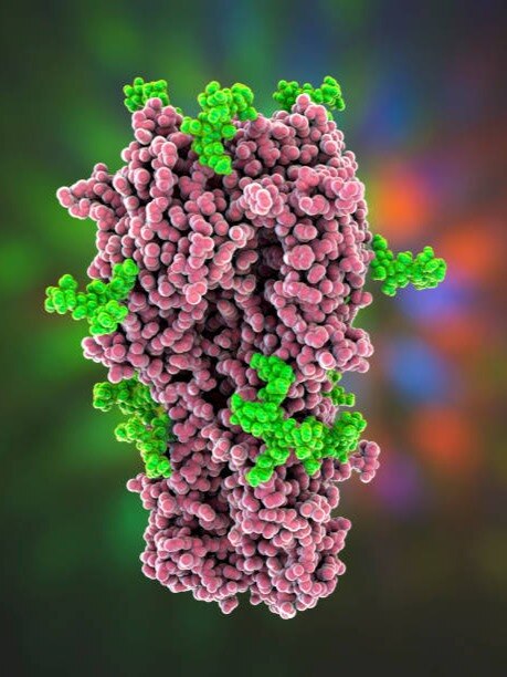 H3N2 Virus: What You Need to Know