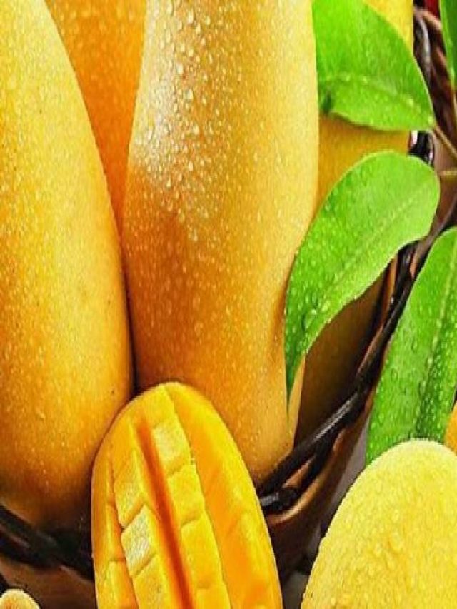 Famous mango varieties in India