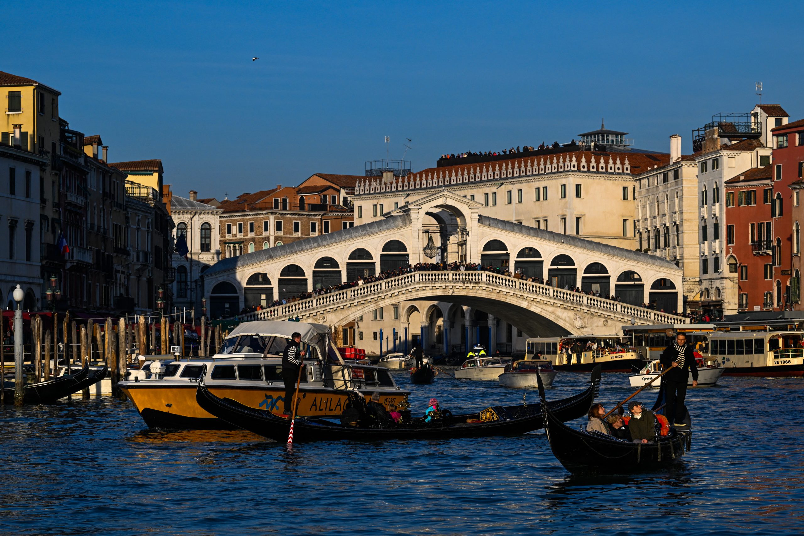Venice Grand Canal Turns A Shocking Green