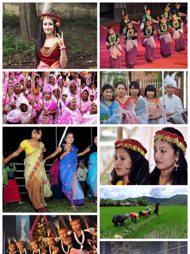 Key facts about Meitei Community