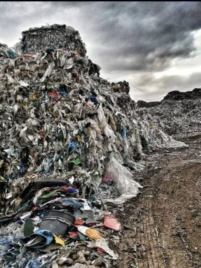 Know more about India's Mountain of Trash