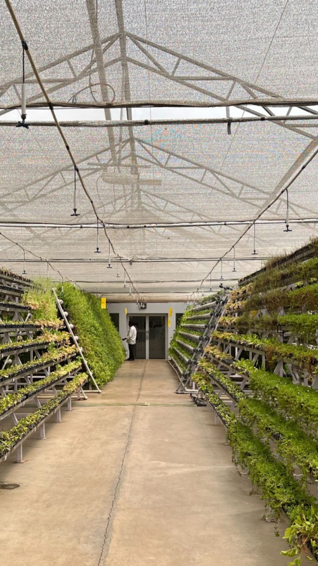 ज्यादा जनसंख्या-कम जमीन, कैसे भविष्य में होगी खेती? - How will farming ...