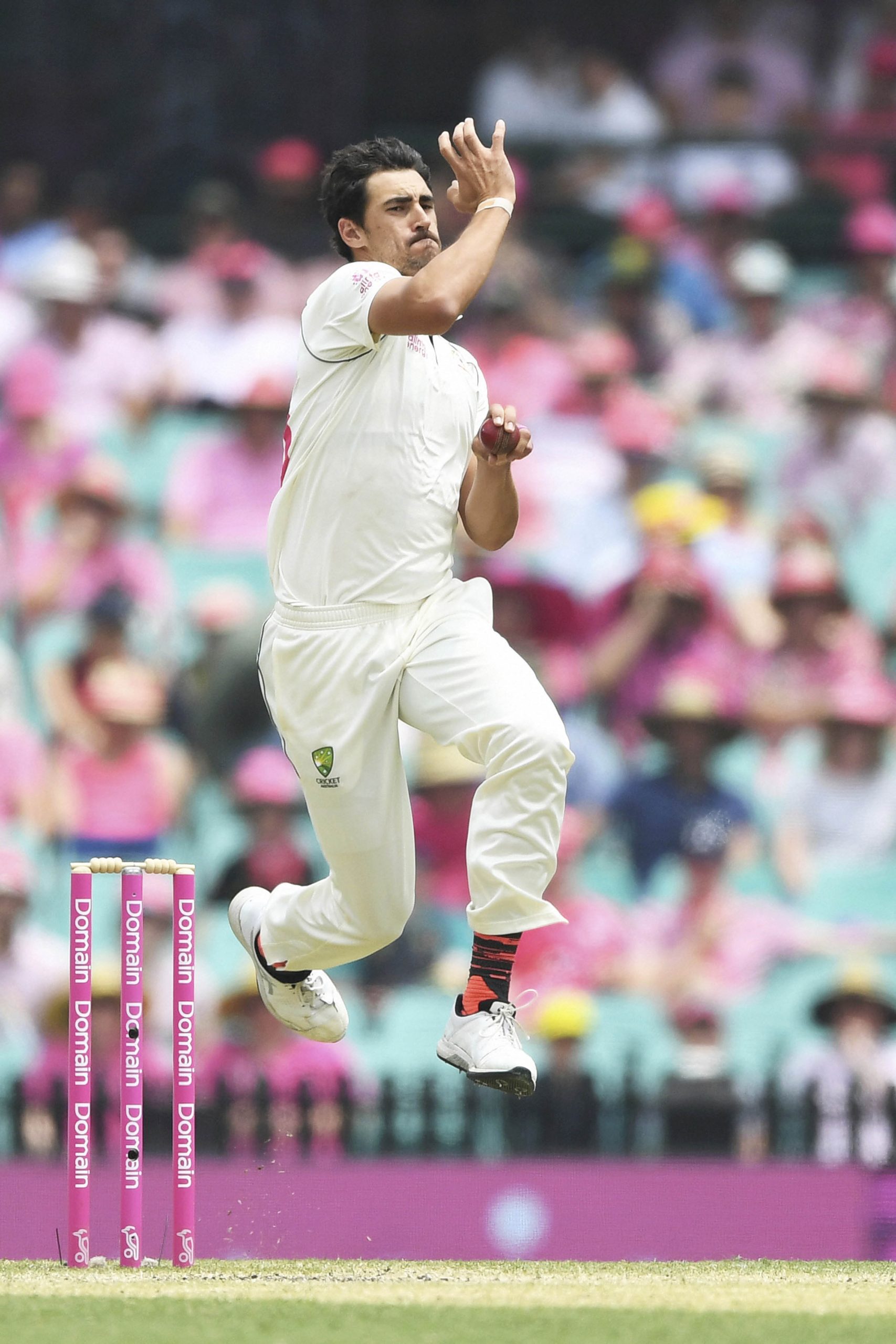 Ashes: Starc goes past Johnson in elite AUS list