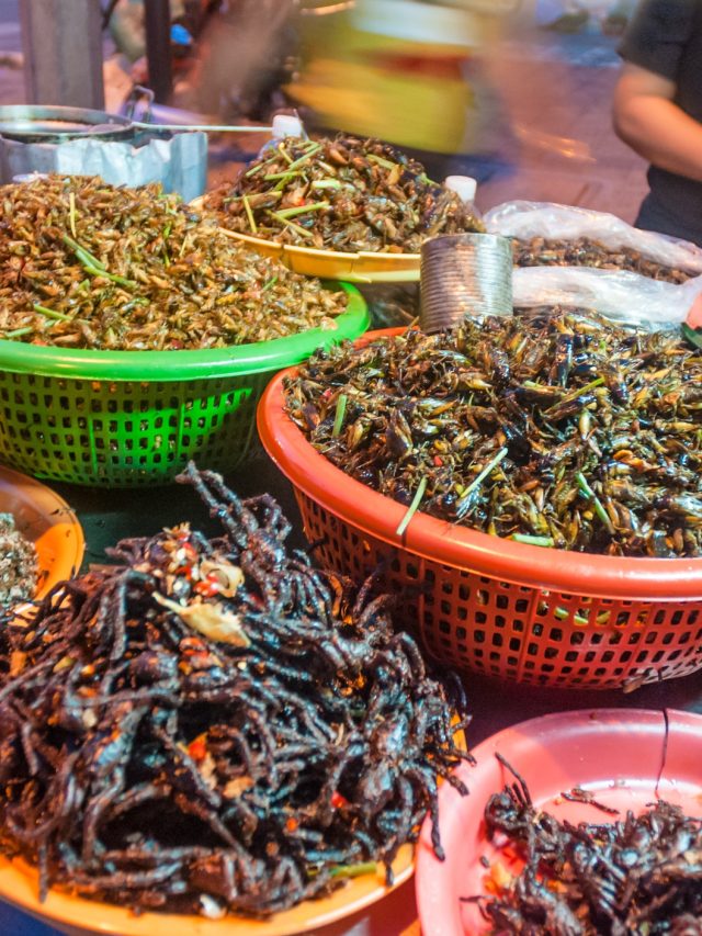 6 Weird Food Items That Are Actually Nutritious