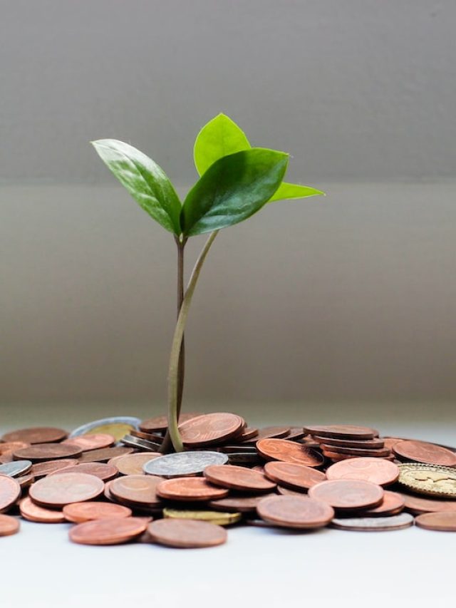 Numerology Numbers That Are Bad At Managing Money Numerology Numbers That Are Bad At Managing Money