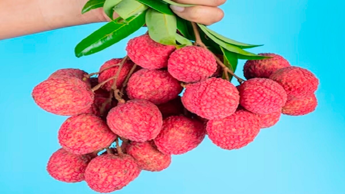 मीठी लीची की ये है पहचान, खरीदने से पहले यूं कर लें चेक - Lichi buying ...