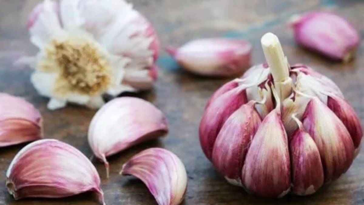 Six Benefits of Consuming Garlic