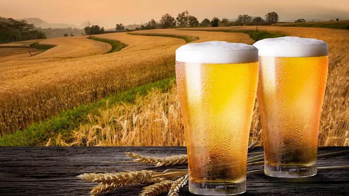 क्या बीयर पीने से निकलता है पेट? जानें दावे की सच्चाई - International ...