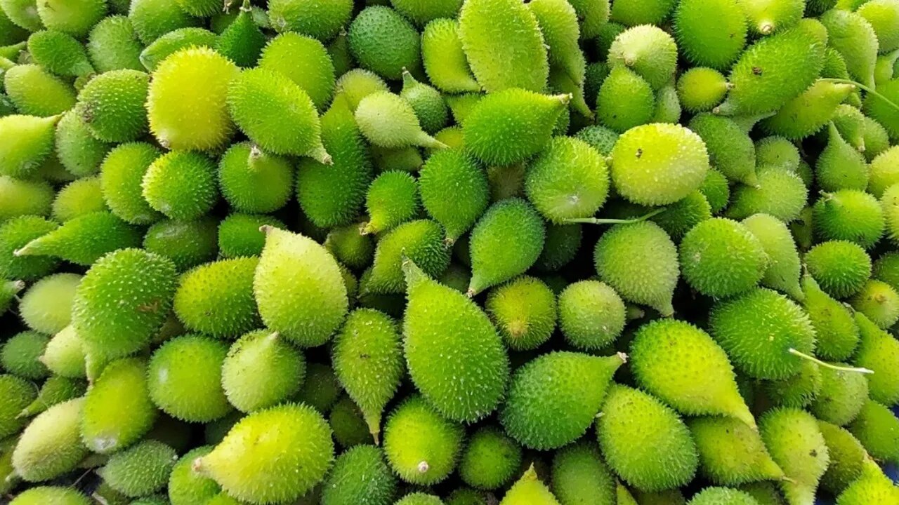 ये सब्जी है सबसे ताकतवर, साल में सिर्फ 15 दिन मिलती है ! - Very special ...