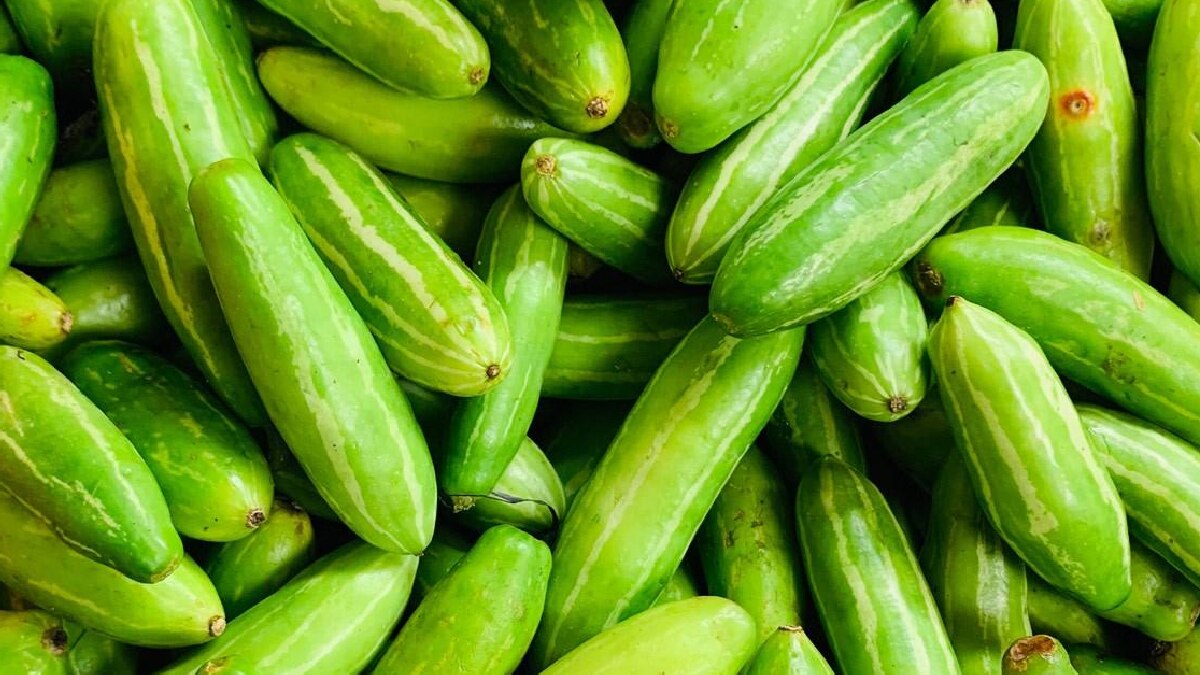 কুদরির ৫ গুণ, রোজ খেলে ডাক্তার দেখাতে হয় না