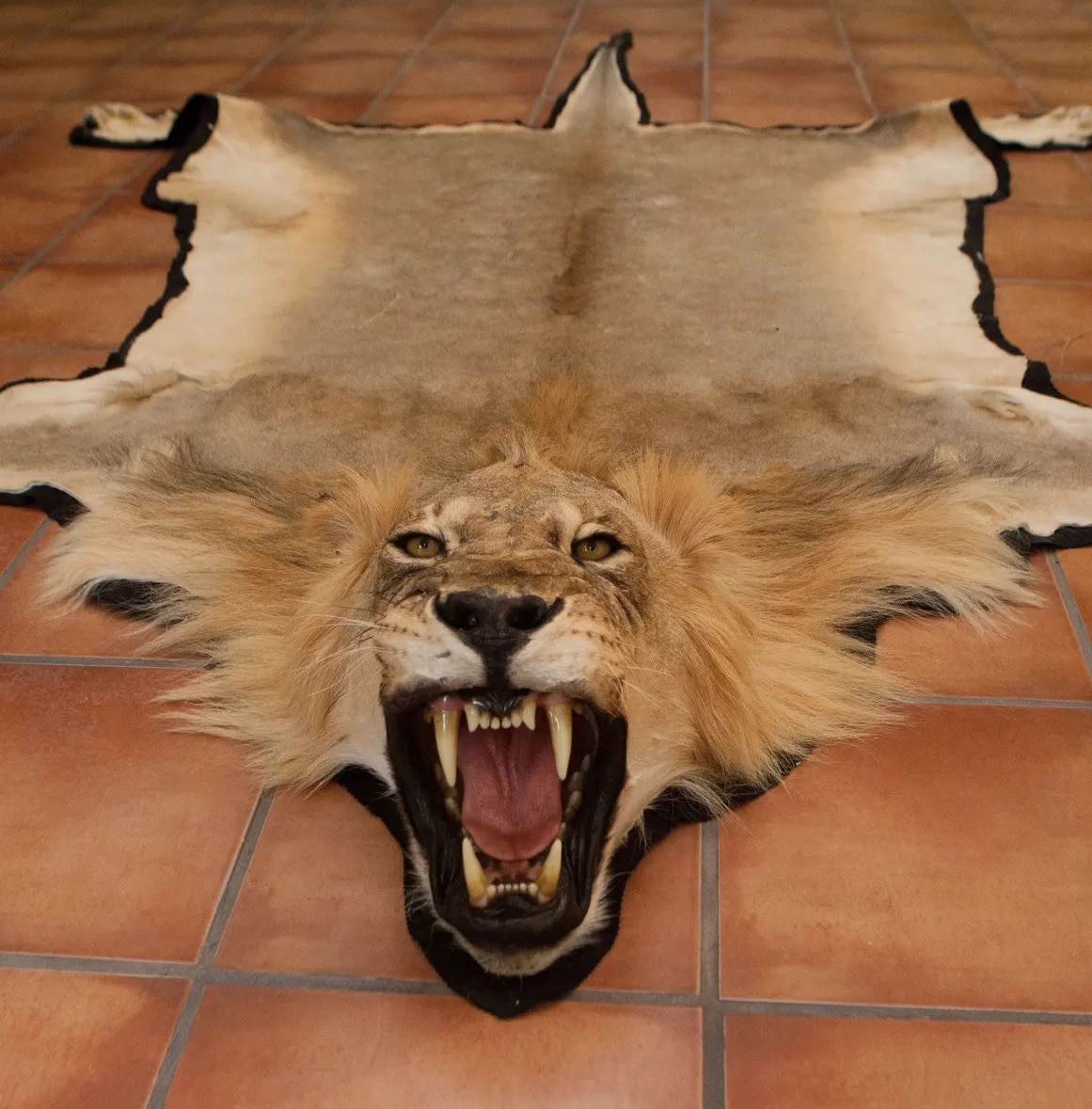 Evolution of Animal Skins in Fashion