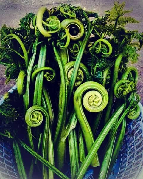 बेहद हेल्दी होती है ये पहाड़ी सब्जी, कभी खाई है? - This mountain ...