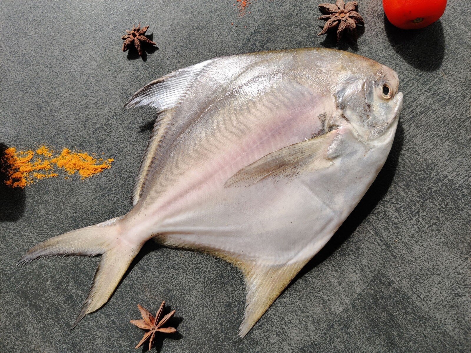 Fish with single bone