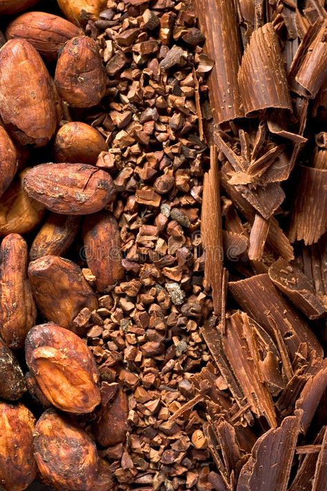 केरल में खूब पैदा होता है कोको,जानें बारी स्टेट का हाल... - Cocoa is ...