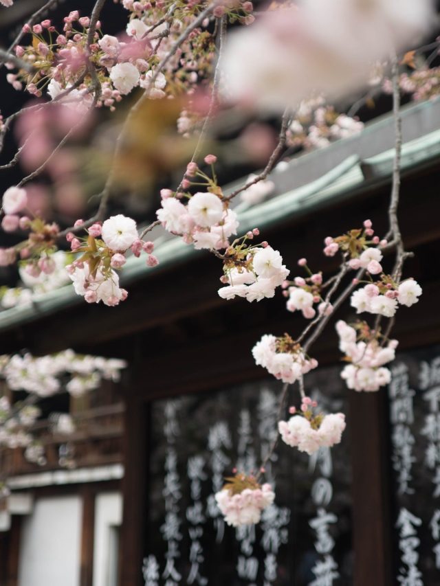 10 Japanese Practices For A Happier Life