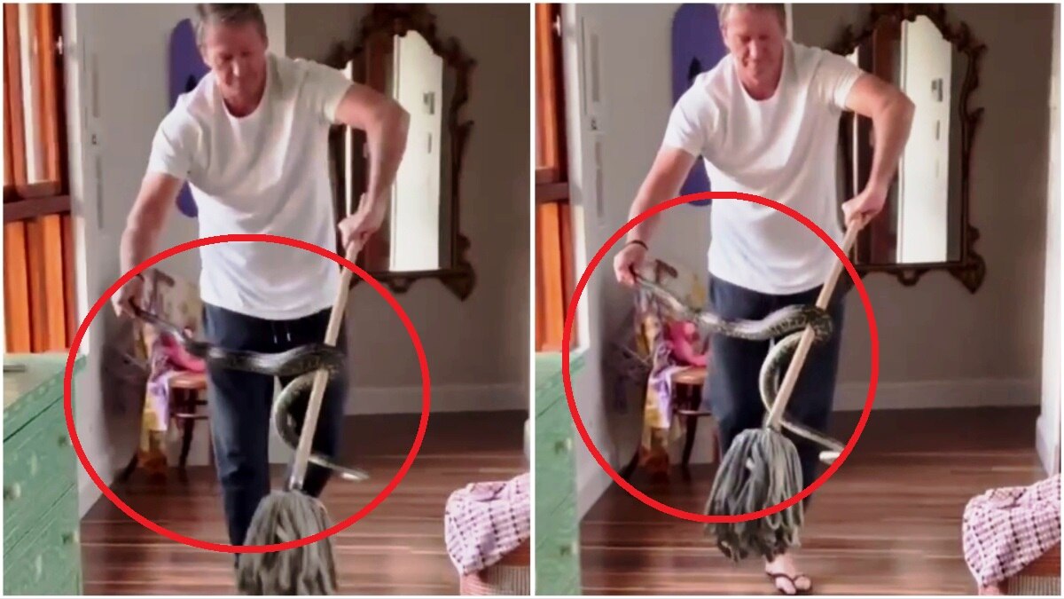 इस क्रिकेटर के घर में घुसे 3 अजगर, हाथ से पकड़ा, फिर क्या हुआ? VIDEO - 3 pythons entered ...