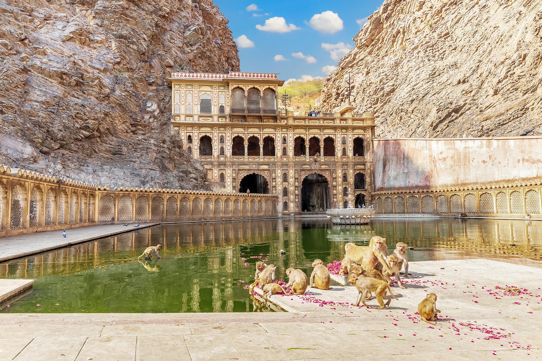 Astounding temples where animals are adored