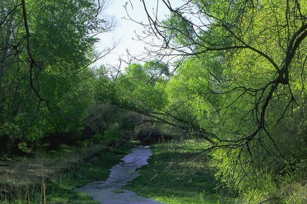 Rivers Which Never Meet a Sea or Ocean