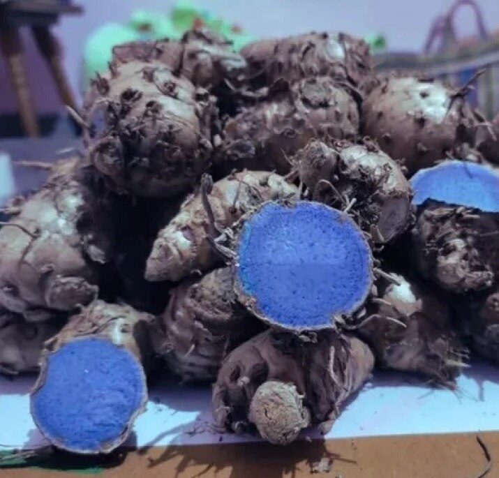 Power of Black Turmeric: Health Benefits You Didn't Know About