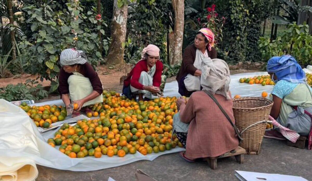 GI Tagged Foods From Northeast