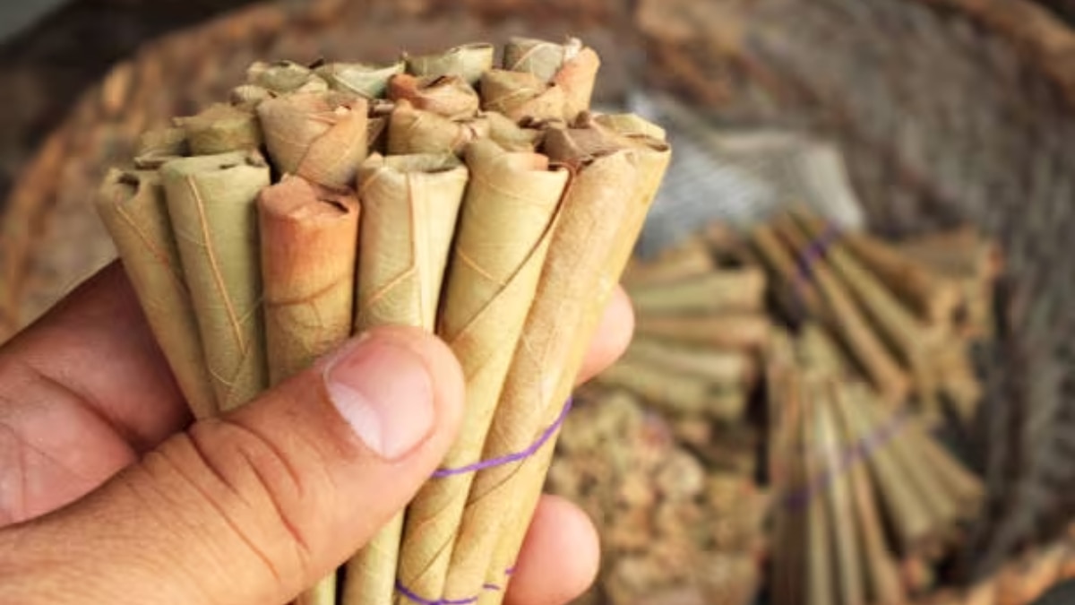 খুশখুশে কাশি কমছেই না? এই পাতার ‘বিড়ি'-তে নিরাময়