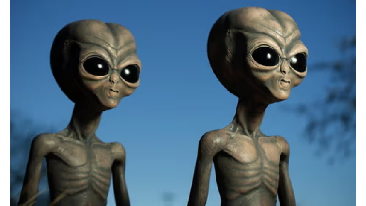 World's craziest insurance policies you have ever come across