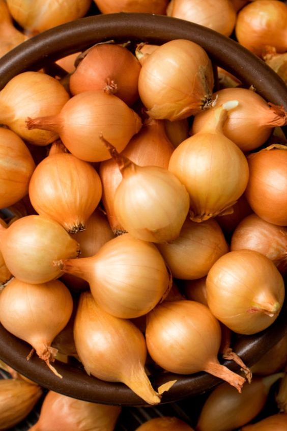 क्या कच्चा प्याज खाने से कंट्रोल रहता है बीपी? - Can eating raw onion ...