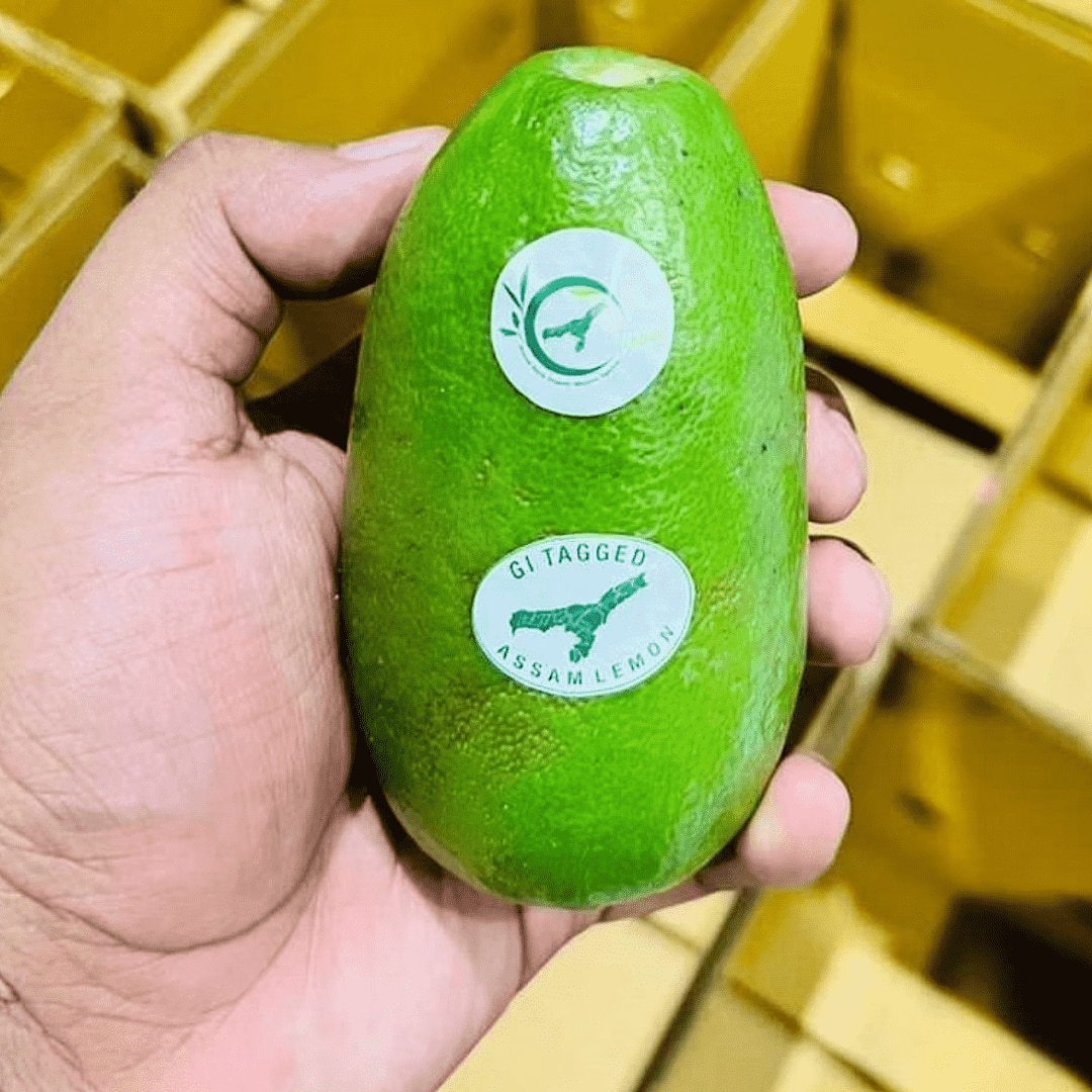 Facts About Kaji Nemu (Citrus Limon): State Fruit of Assam