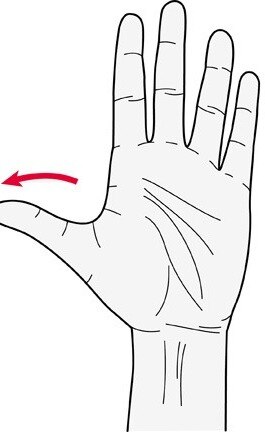 Benefits of Palm Exercises