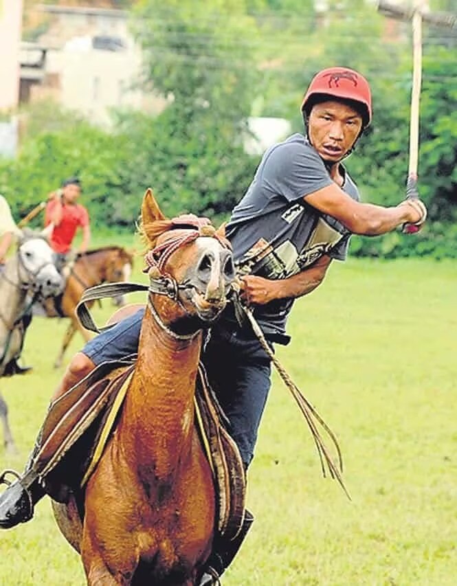 Manipuri Pony: From Manipur to the World