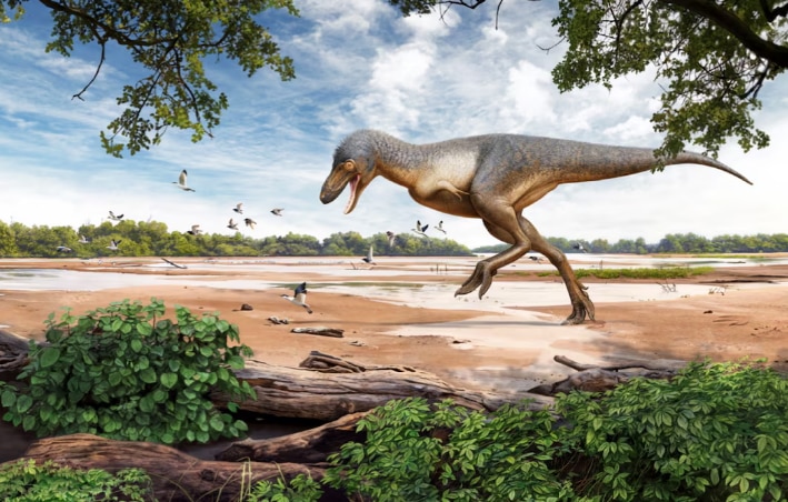 Teen Rex: US kids discover rare dinosaur fossil