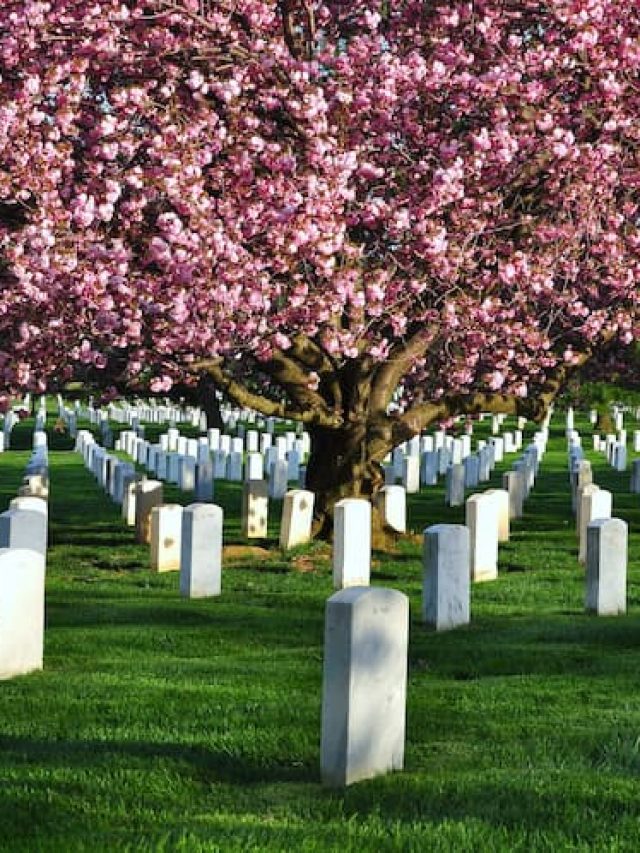 Biggest Graveyards in the World